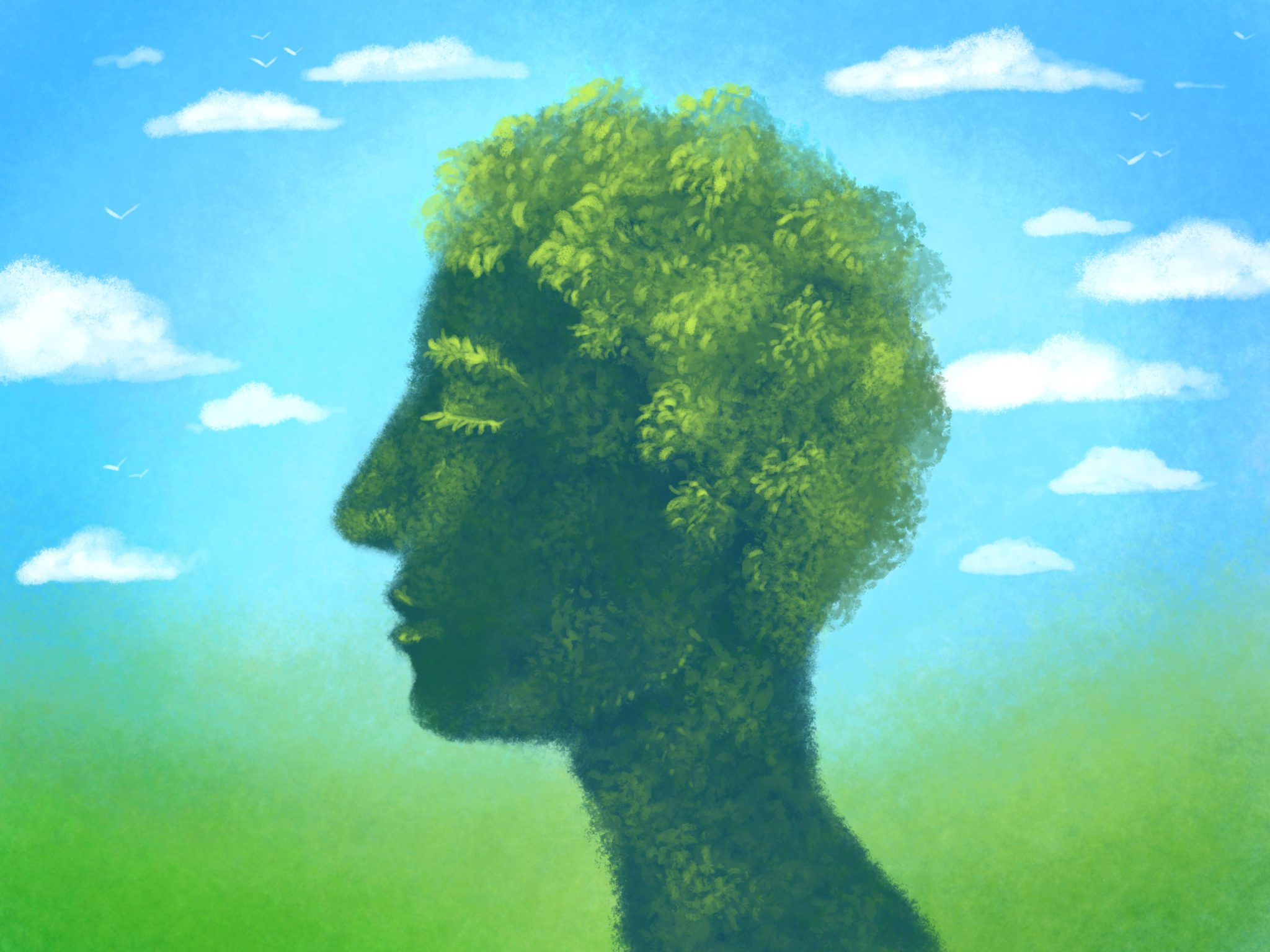 Visual models for organizational change | Territory